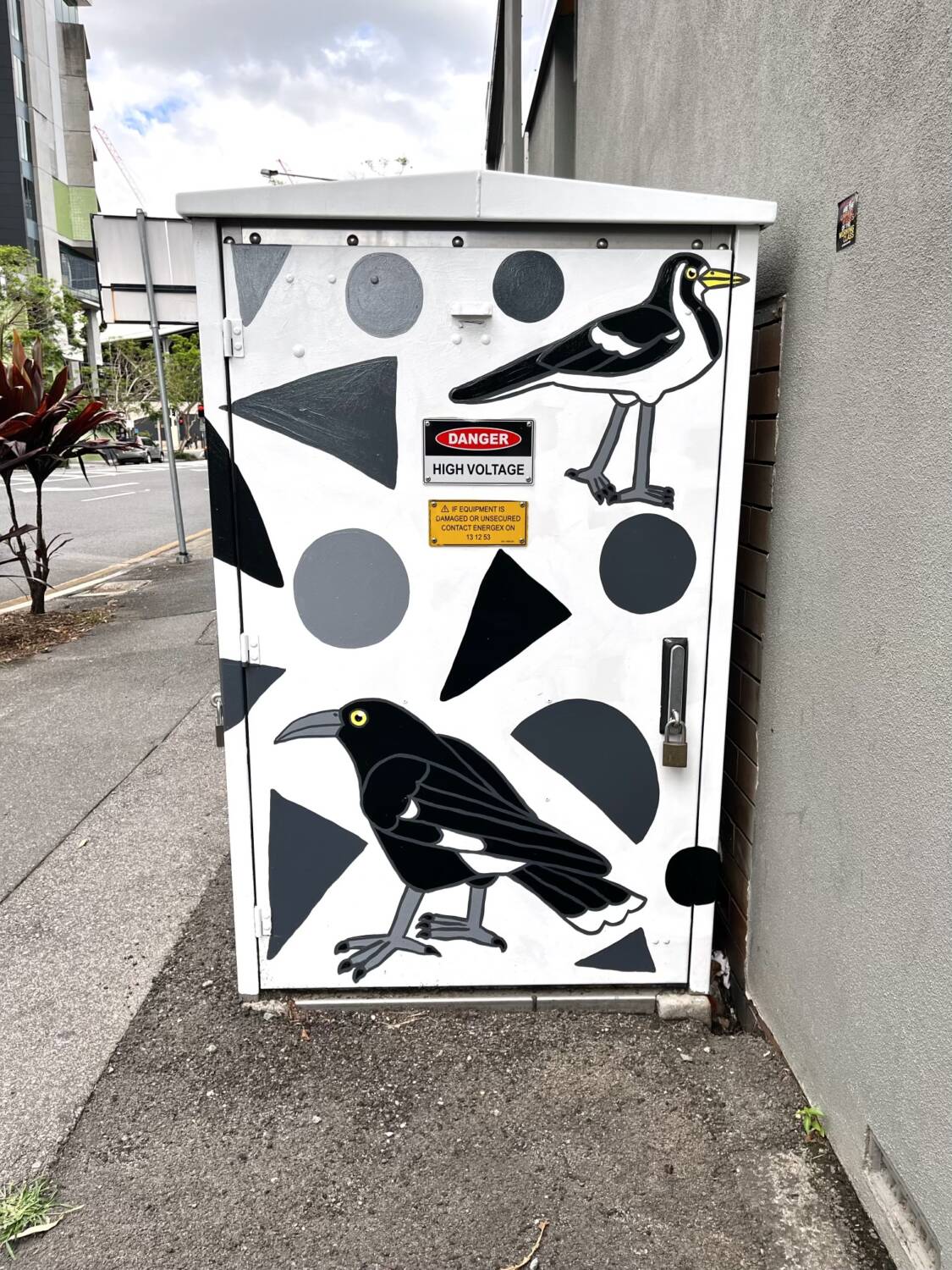 Black and White Birds of Brisbane – Artforce Brisbane